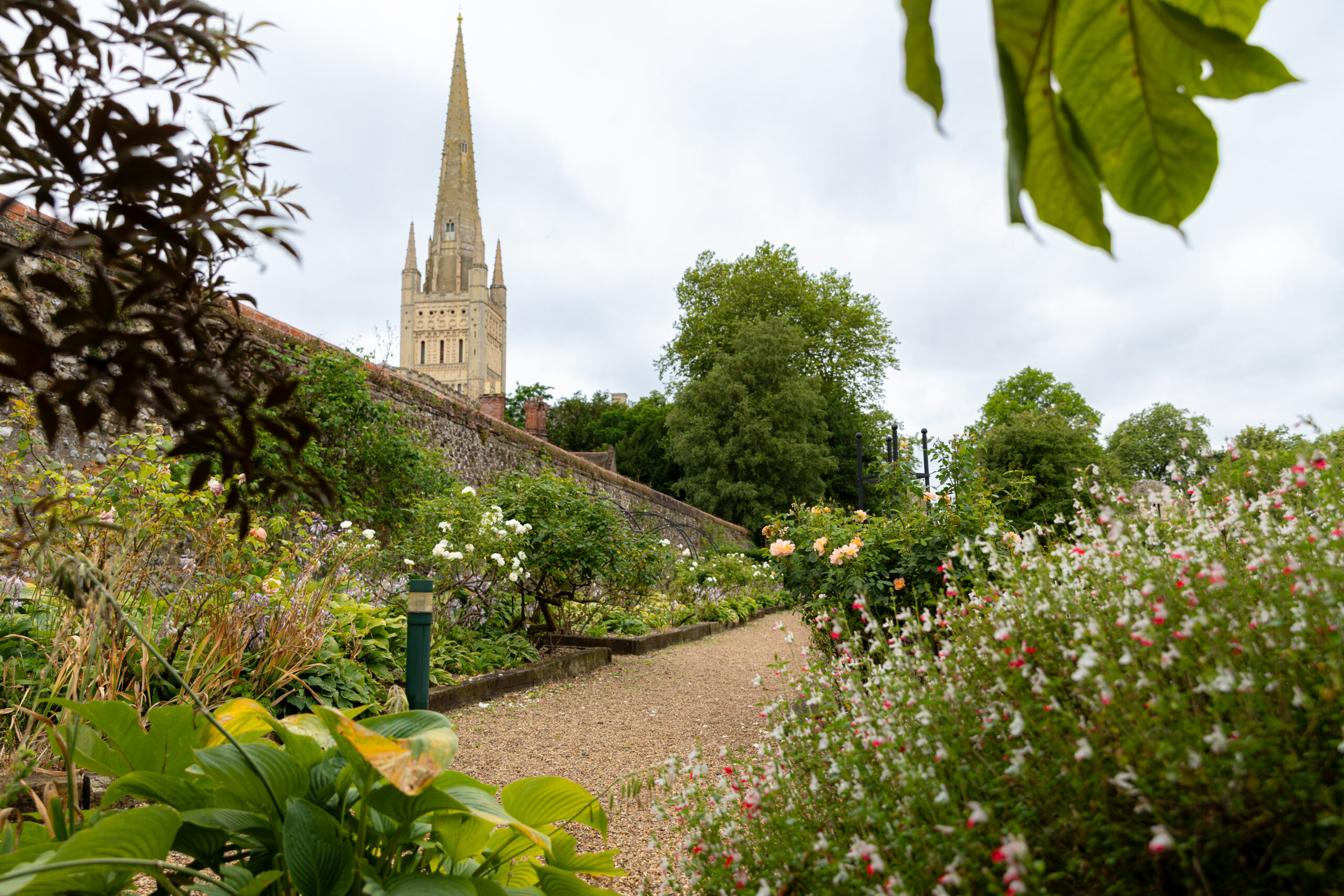 Bishop of Norwich’s Garden: charity open days spring and summer 2025 ...